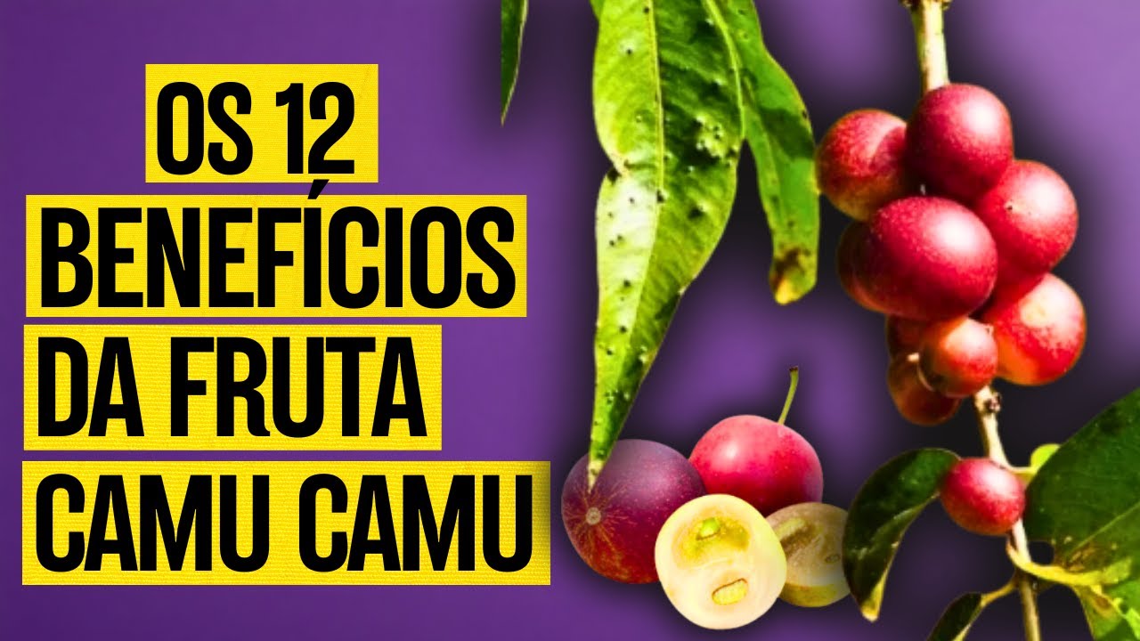 CAMU CAMU fruta: QUAIS OS BENEFÍCIOS? PARA QUE SERVE? | Dicas de Saúde ...