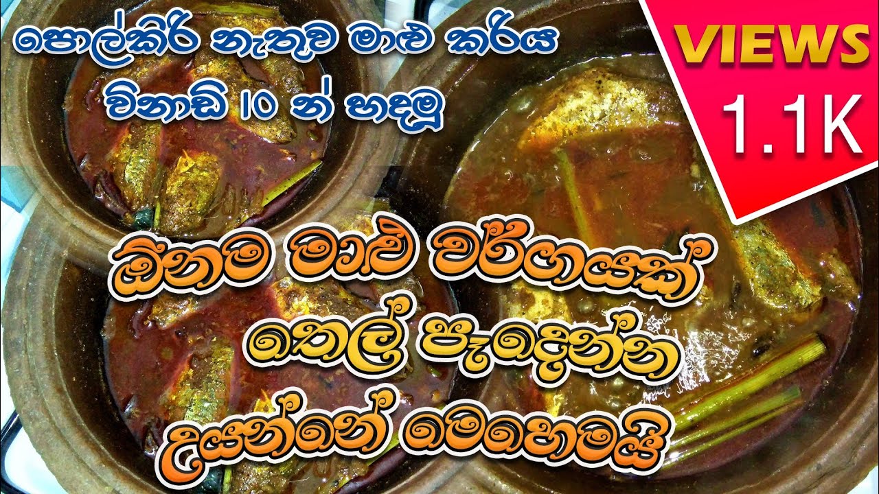 Malu Curry Srilanka | Easy Fish Curry Recipe | කටට රසට මාළු හදමු 😋🐟 ...