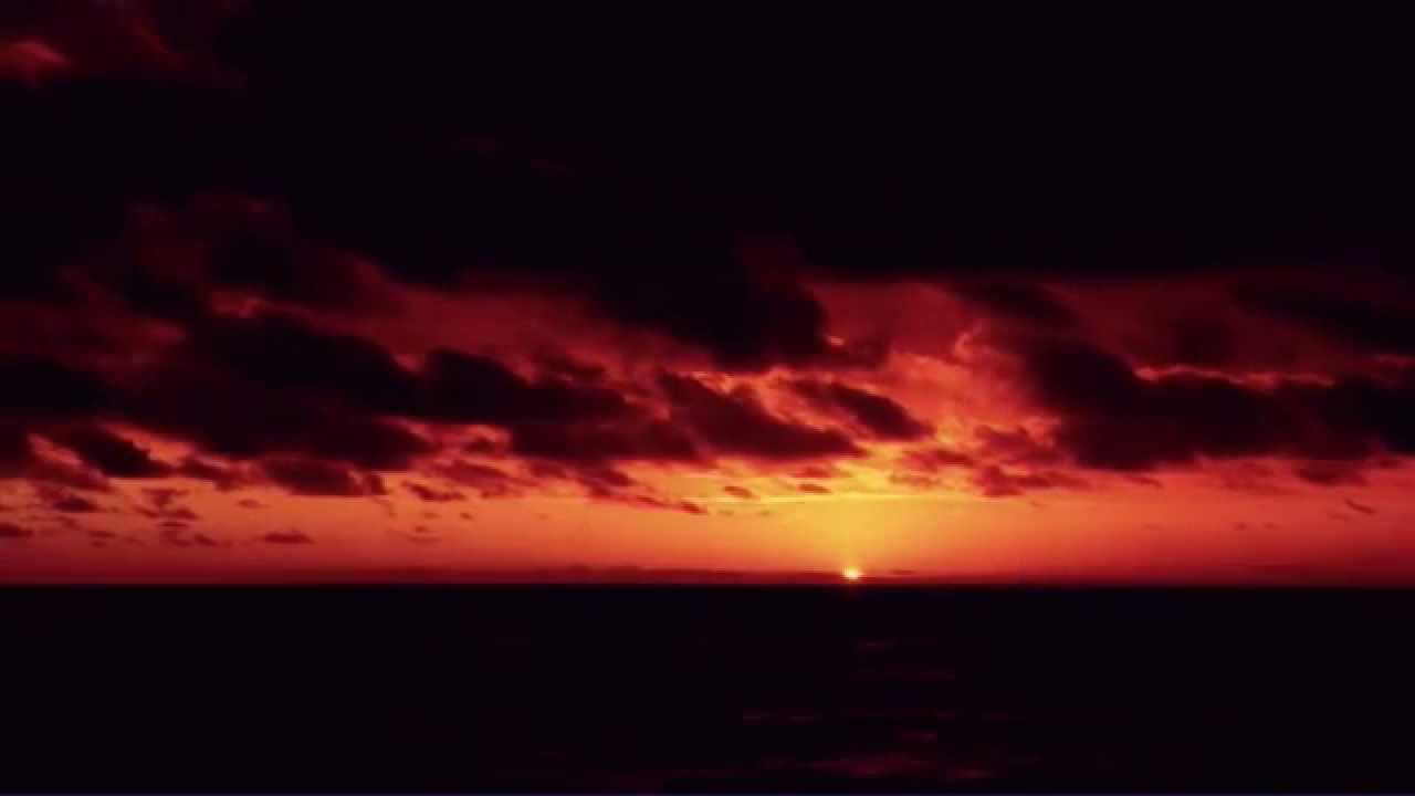 Carpe Diem - Seize the day : To the Virgins, To Make Much of Time ...