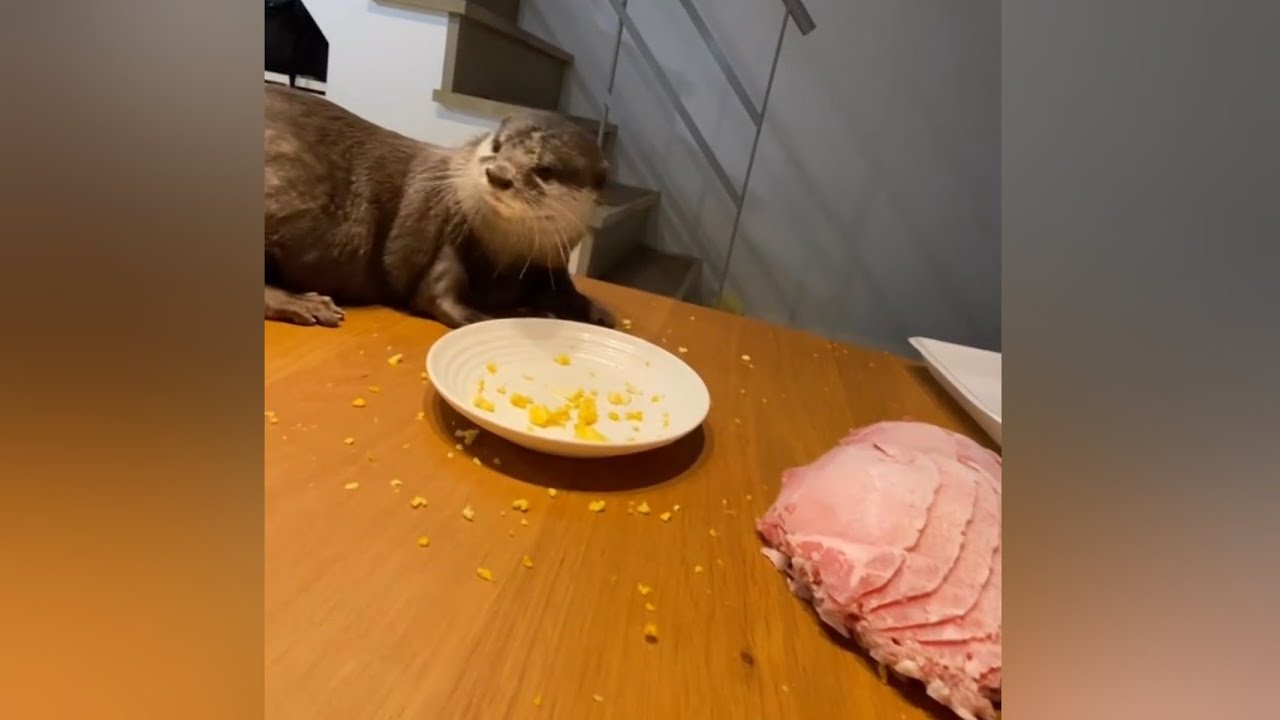 Foodie Melonpan~Let me eat fast otherwise daddy will finish his ...