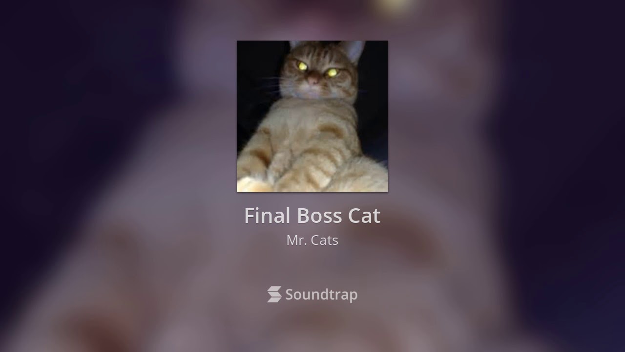 Final Boss Cat - YouTube