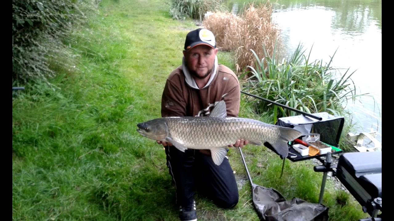 Quelques Fish à la Bêta SM Colmic 10m50 - YouTube