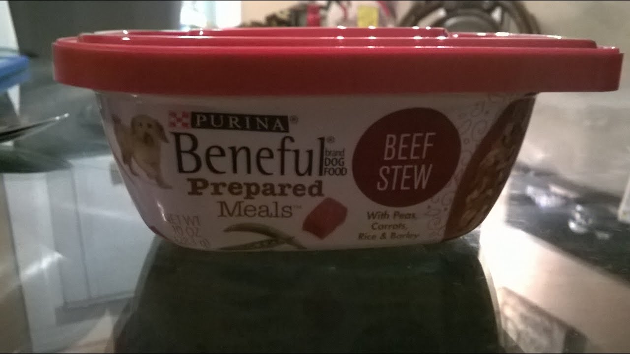 Purina Beneful Beef Stew - Challenge 21 (You Gonna Eat That?) - YouTube