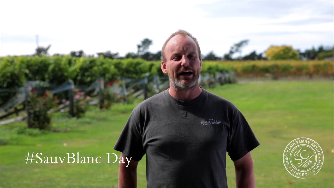 Hamish Clark on Saint Clair's philosophy on Sauvignon Blanc - YouTube