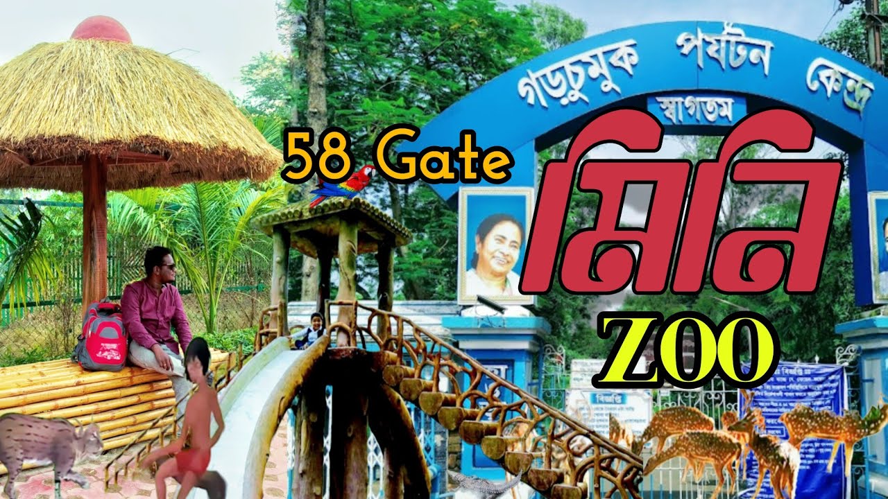 কলকাতা থেকে মাত্র ২ ঘণ্টায় Zoo, River View Point, New Resort ...