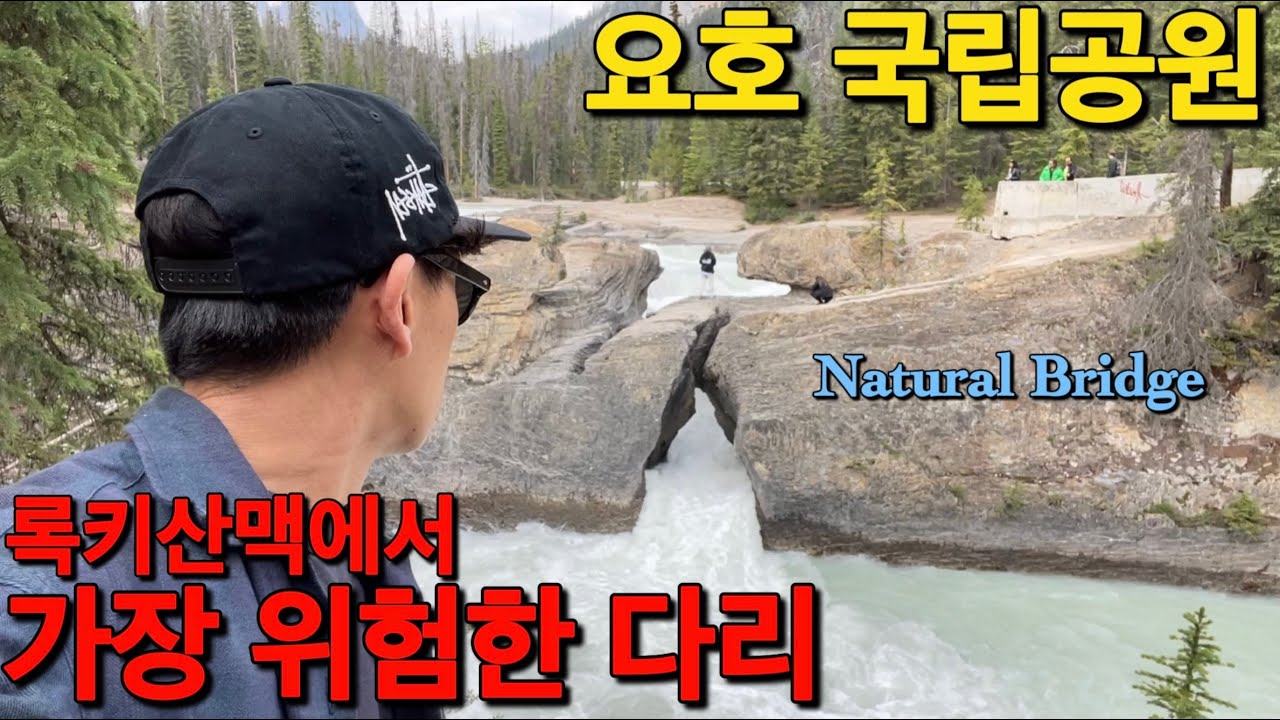록키산맥에서 가장위험한 다리 Natural Bridge Canada Yoho National Parkㅣ🇨🇦 캐나다 - YouTube