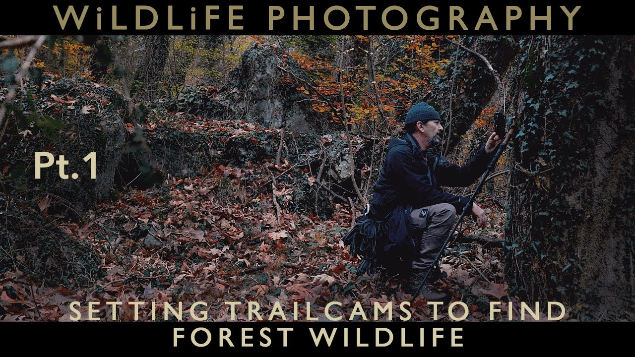 Camera trapping - Part 1 - Setting trailcams to find wildlife in a ...