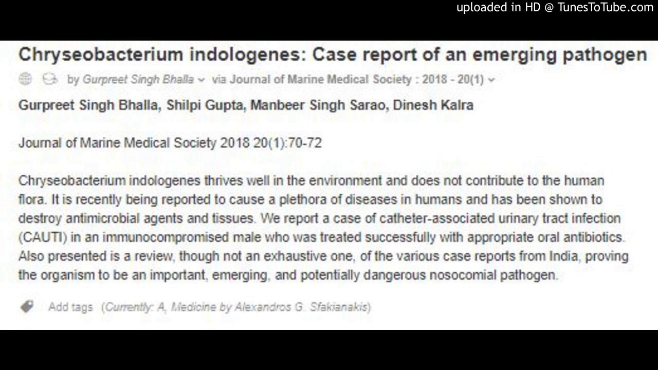 Chryseobacterium indologenes,an emerging pathogen - YouTube