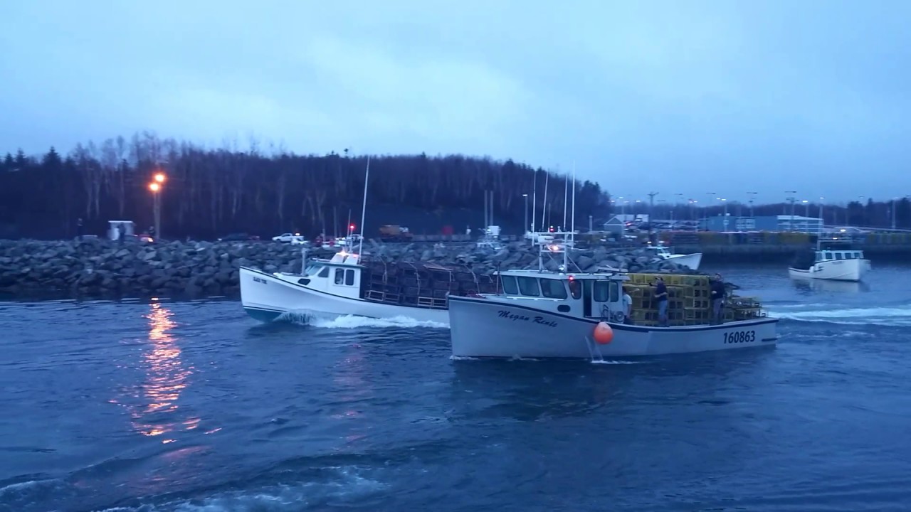 Lobster Trap Setting Day 2017 - Caribou, Nova Scotia, Canada - YouTube