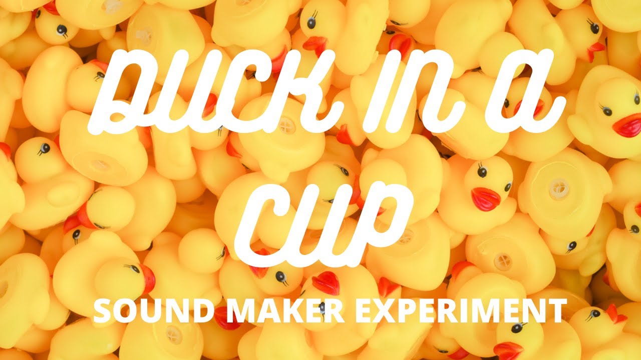 Duck In A Cup Sound Science Experiment - YouTube