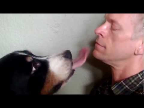 Air Licker