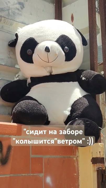мишка на сервере :)) - YouTube