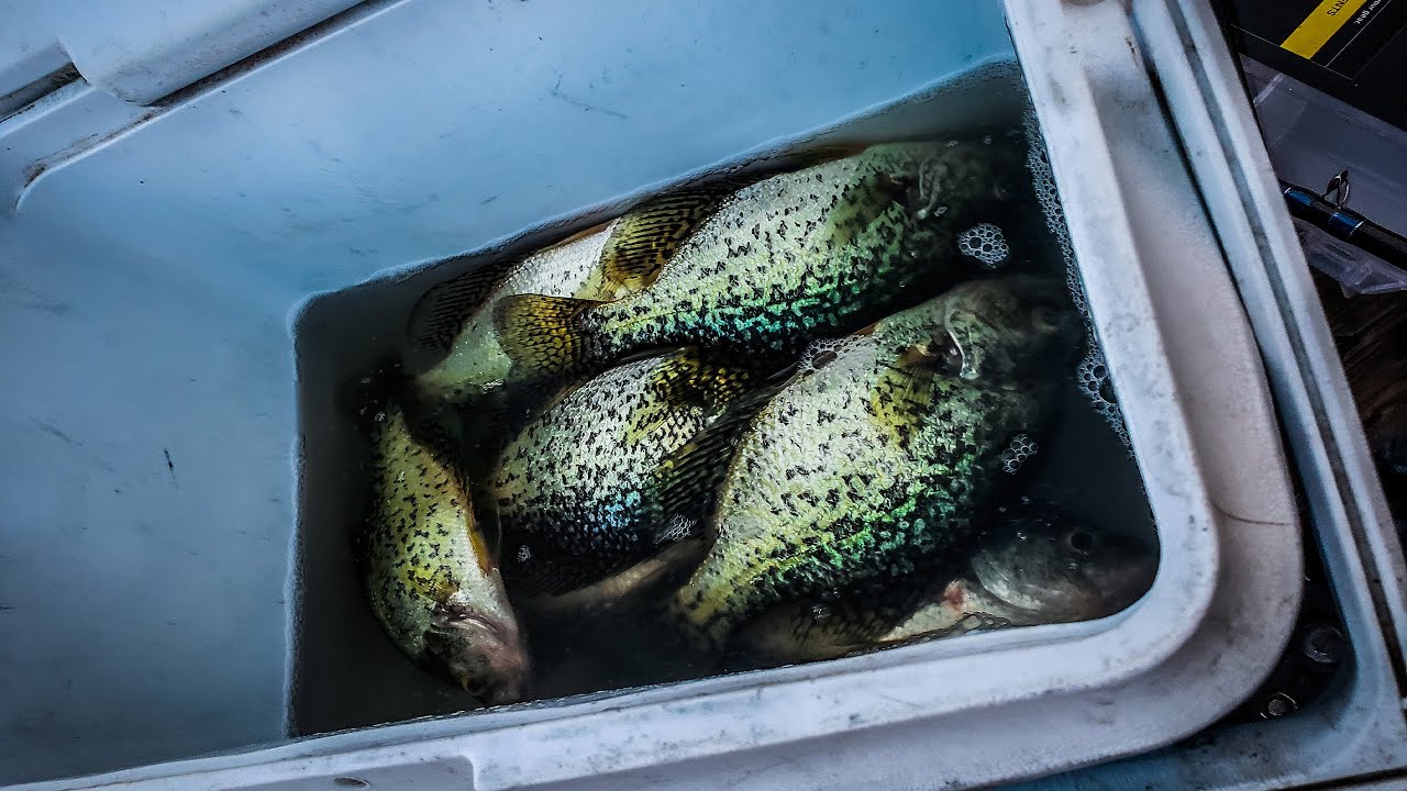 Newman Lake Summer Panfishing & Bass Fishing - YouTube