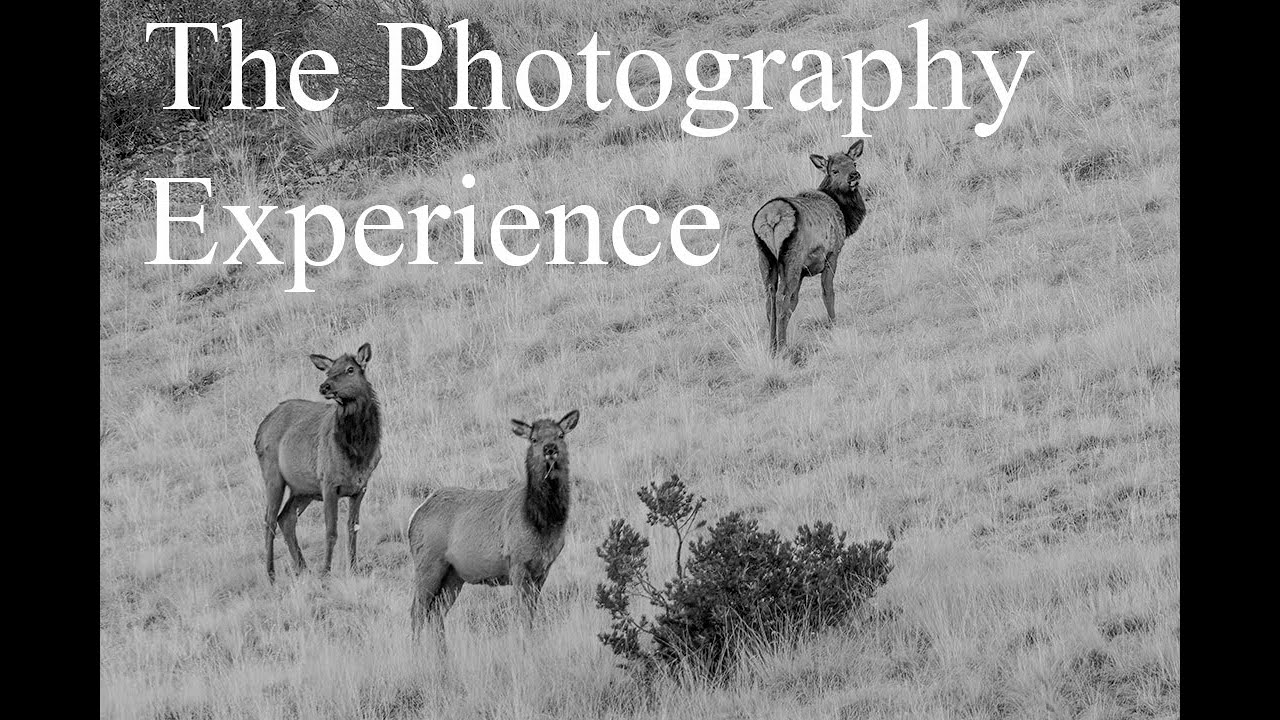 Photography Experience - YouTube