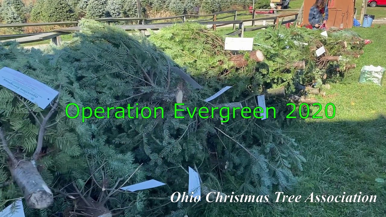 Operation Evergreen 2020 - YouTube