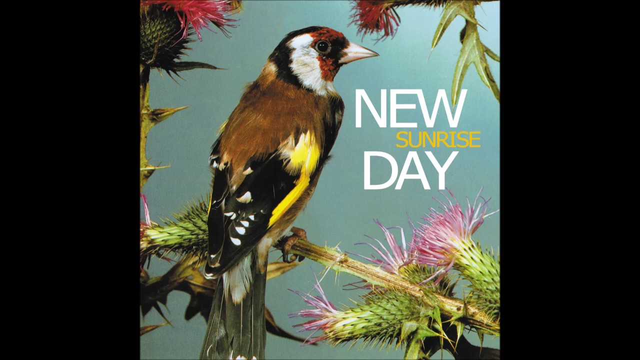 New Day - Free - YouTube
