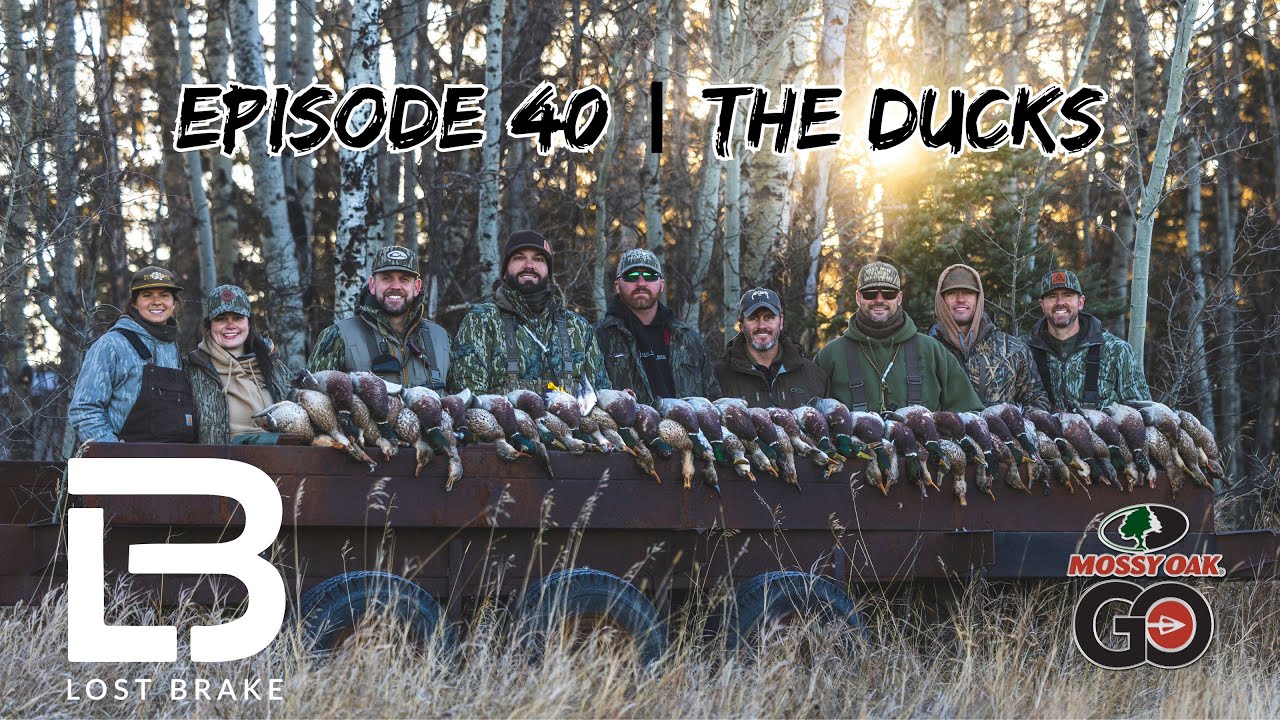 Lost Brake • The Ducks • Episode 40 - YouTube