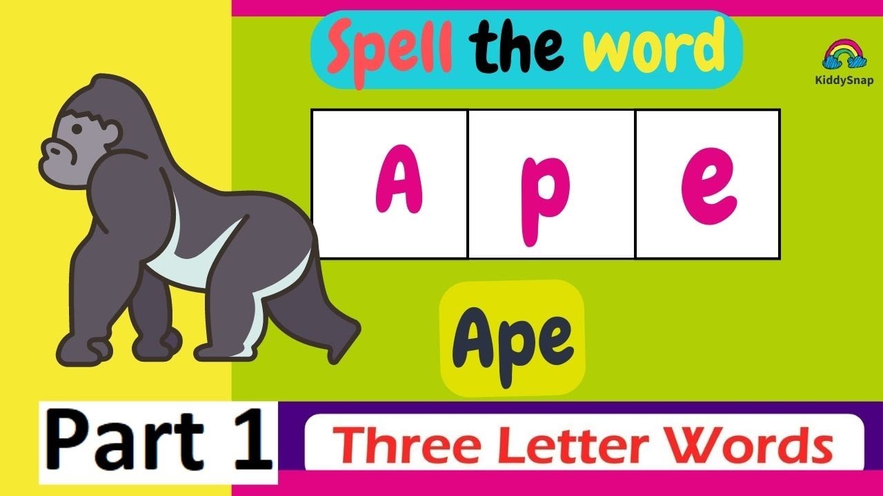 Learn how to spell basic words|3 letter words|basic words reading ...