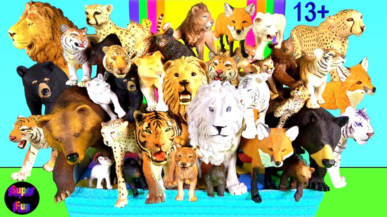 Big Cat Week - Zoo Animals Lion, Tiger, Cheetah, Grizzly Bear, Black ...