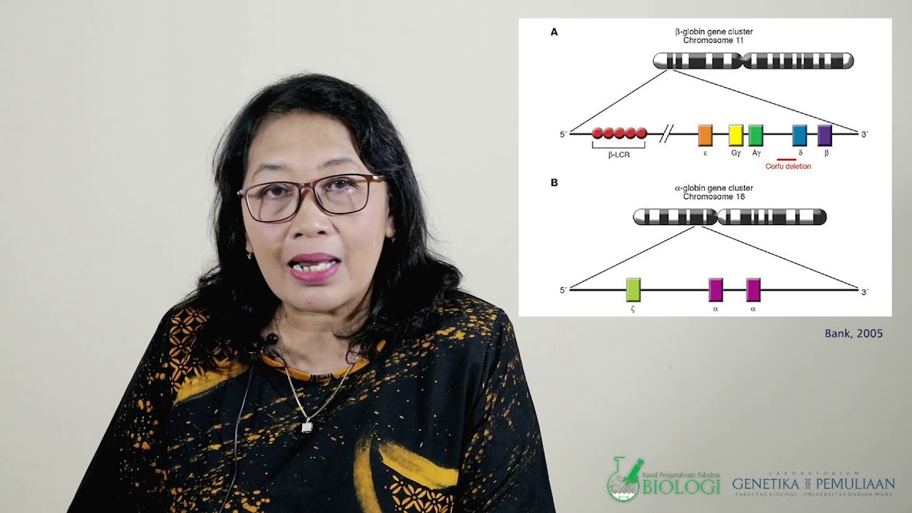 Profil Pakar - Dr. Niken Satuti Nur Handayani., M.Sc. - YouTube