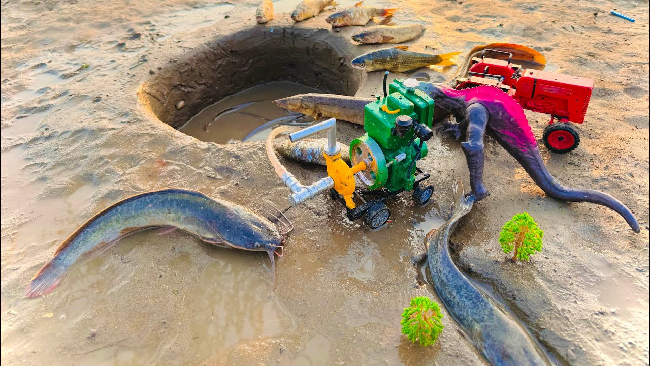 Catch fish using mini water pump | fishing exciting | diy tractor mini ...
