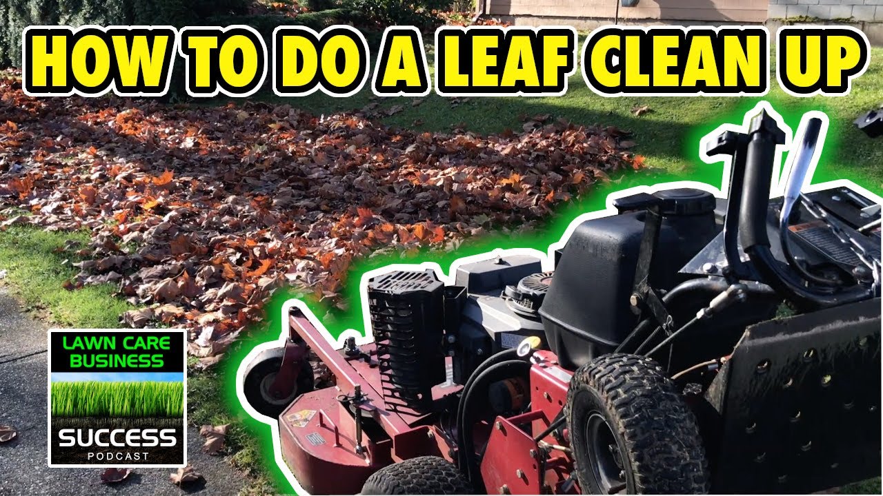 How to do a leaf clean up with a lawn mower - YouTube