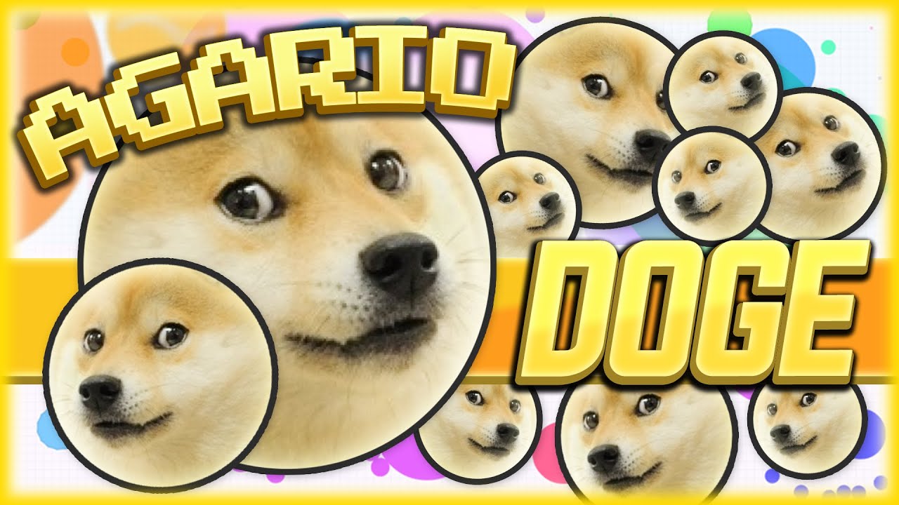 TEAM DOGE TOO GOOD HACK ( Agar.io / Blob Wars Tips & Hacks ) - YouTube