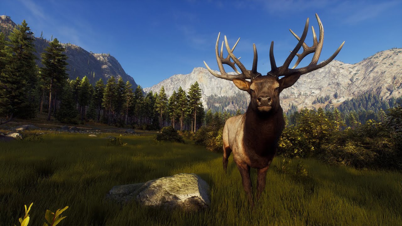 real hunter plays way of the hunter - YouTube