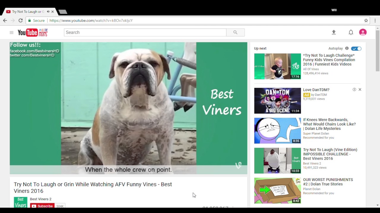 Try Not To Laugh or Grin While Watching AFV Funny Vines Best Viners ...