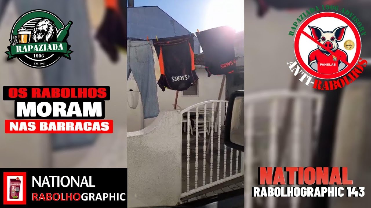 NATIONAL RABOLHOGRAPHIC 143 - Os rabolhos moram nas barracas - YouTube