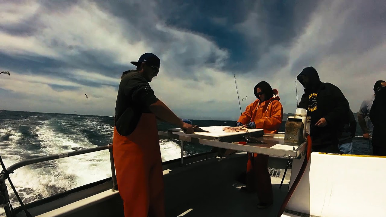 Deep Sea Fishing Trip avila beach 4/07/2019 - YouTube