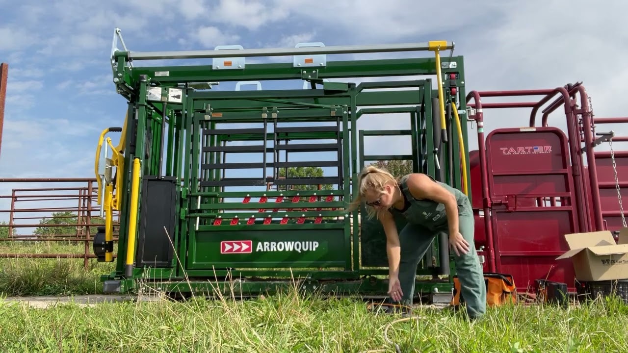 Using our Gallagher load bars to weigh cows! - YouTube