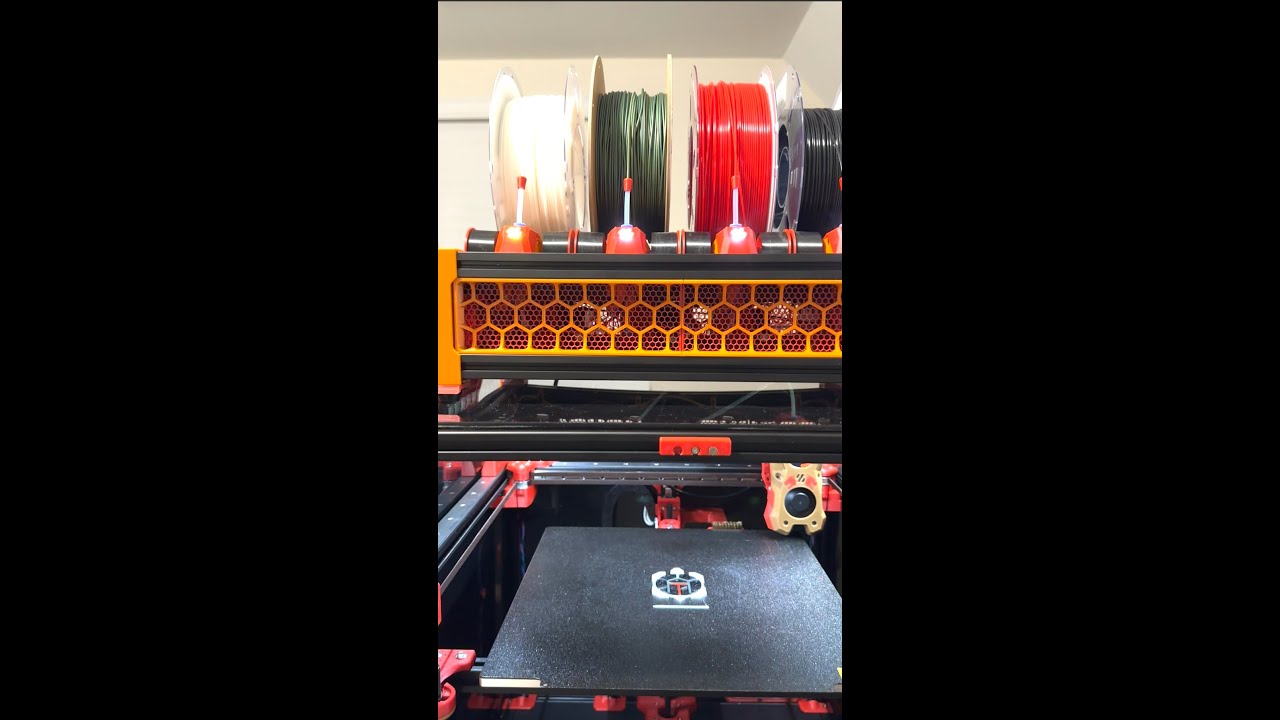 Box Turtle AFC Goes Burr - YouTube