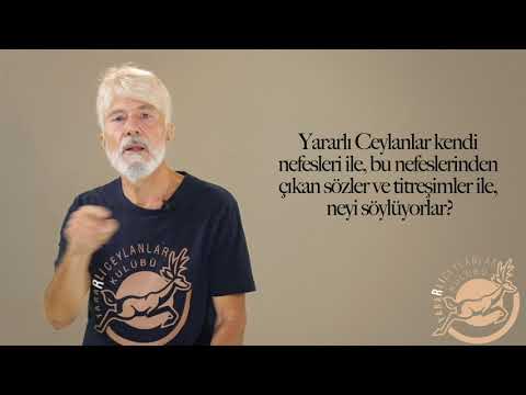 Baba Ölme! Anne Ölme!