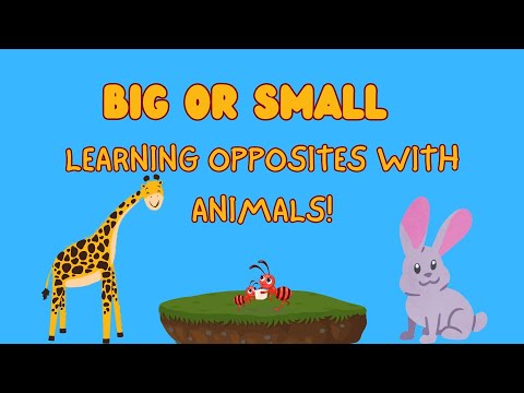 Big or Small? Learning Animals Opposites with Animals! - YouTube