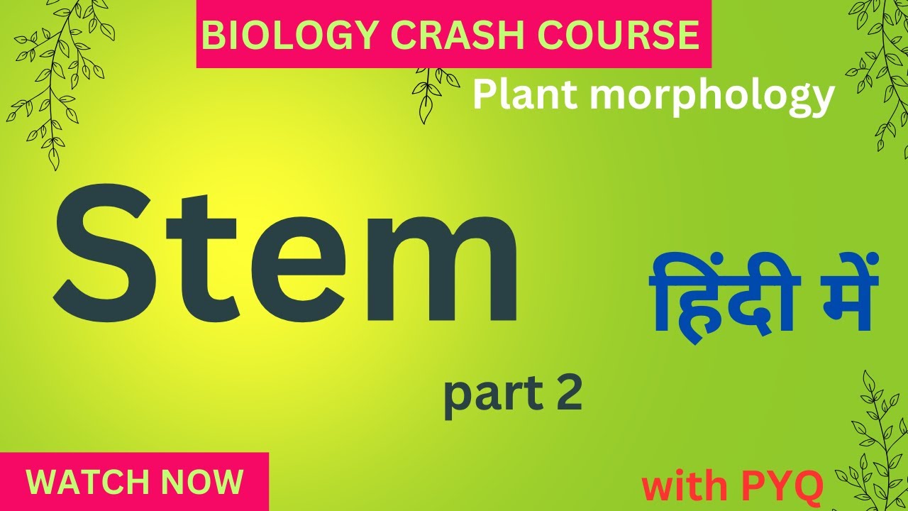 plant stem| part 2 | easy explanation with basic clarity| with ...
