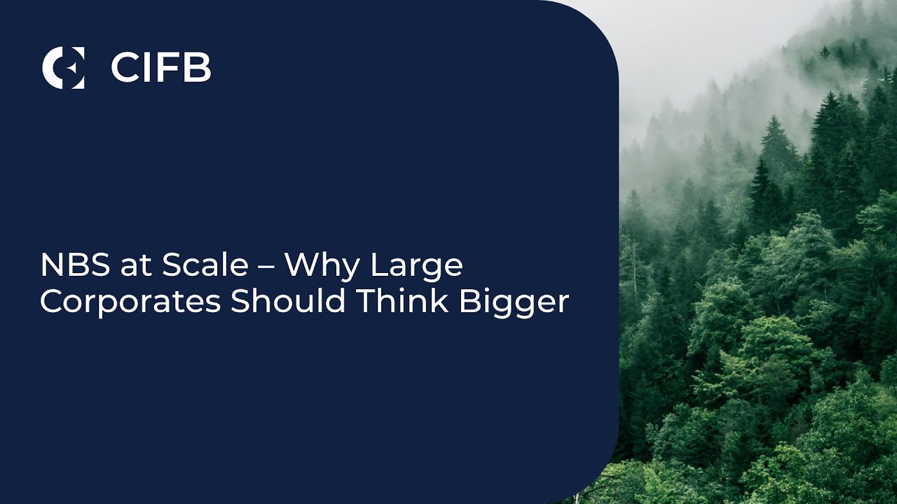 NBS at Scale – Why Large Corporates Should Think Bigger - YouTube