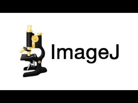 Image Analysis Using Freeware Image J Software Part - 1 - YouTube