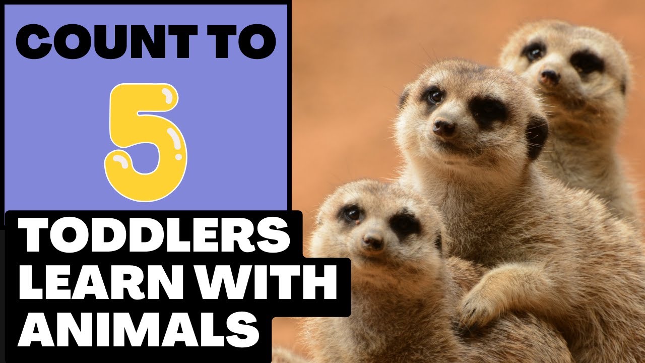 Counting Fun for Toddlers: Learn to Count to 5 with Adorable Animals! 🐾 ...