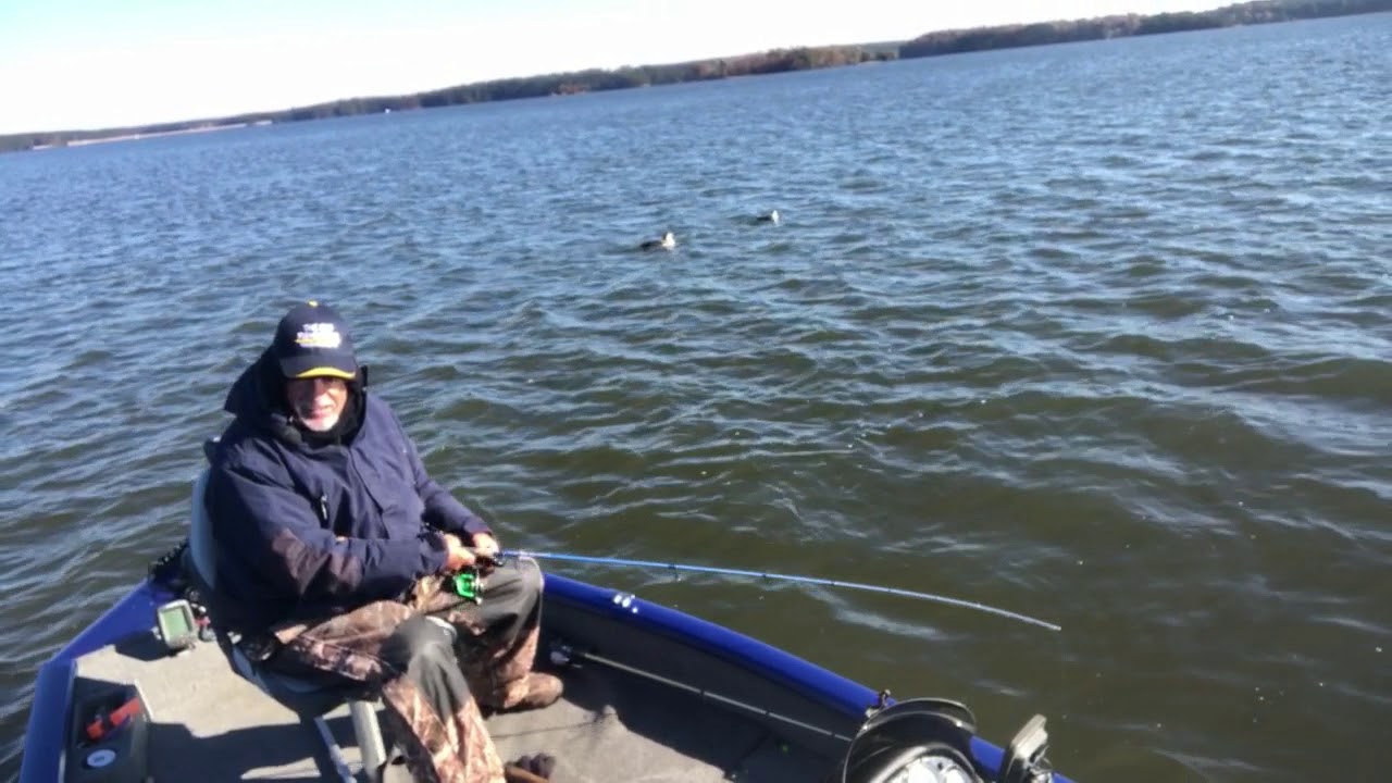 Looney Is Back Pestering The Old Fisherman - YouTube