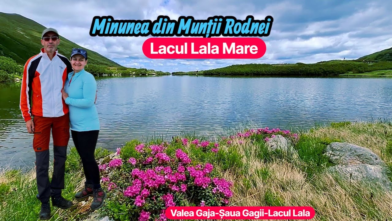 Lacul Lala Mare prin Valea Gaja #rododendron #muntiirodnei #lacullala ...