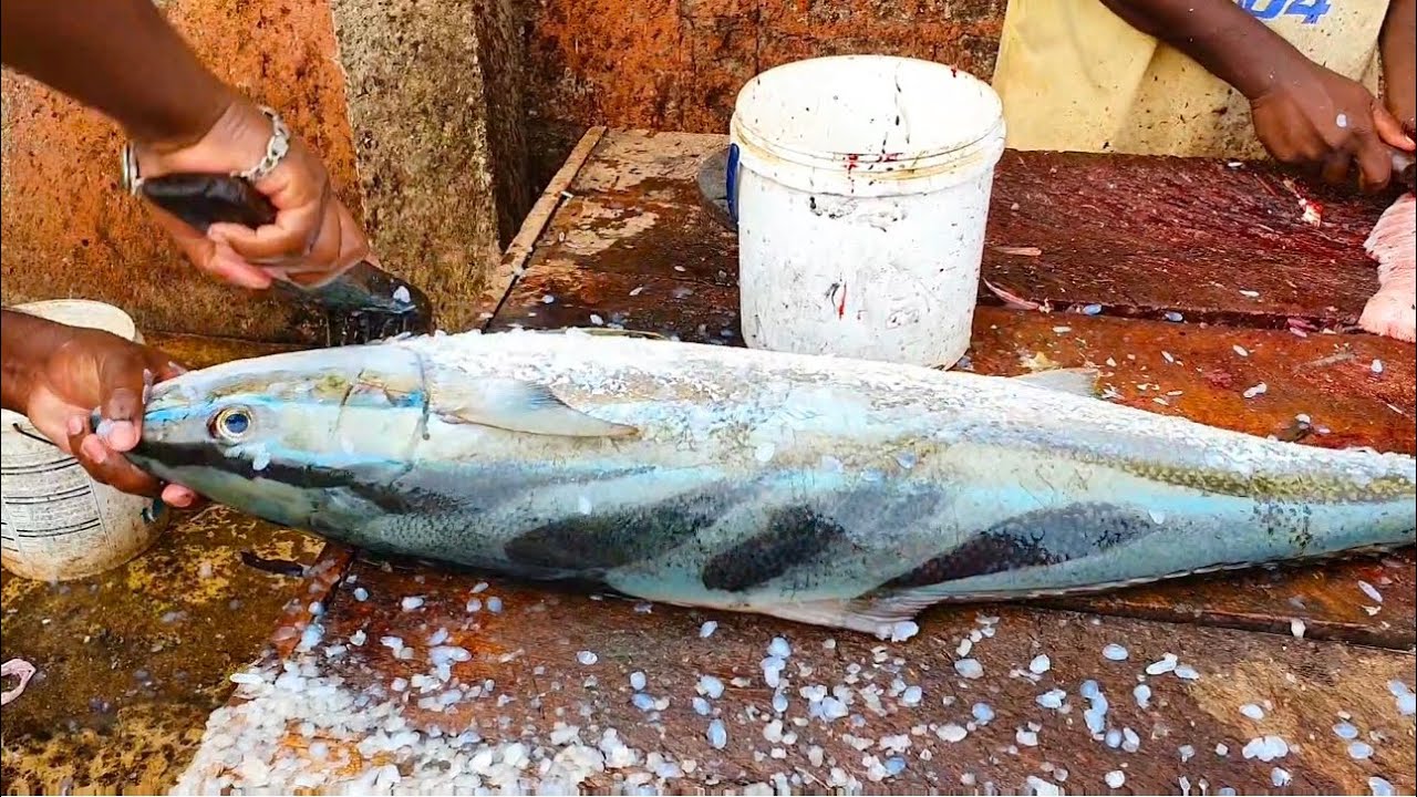 "Expert Rainbow Runner Fish Cutting: Amazing Filleting Technique at ...