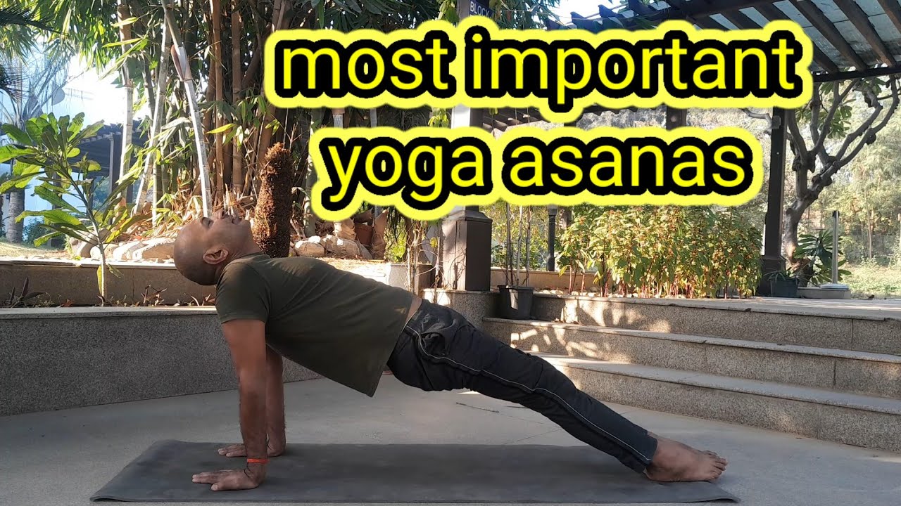 most important yoga asanas #yoga #yogapractice #morning #time - YouTube