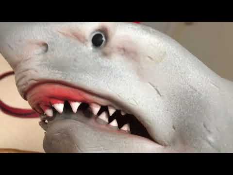 Shark puppet eats a peanut butter sandwich