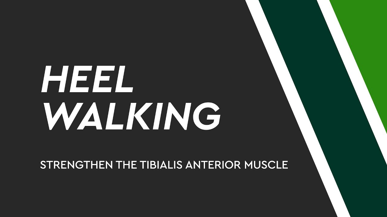 Exercises with an Athletic Trainer: Heel Walking - YouTube