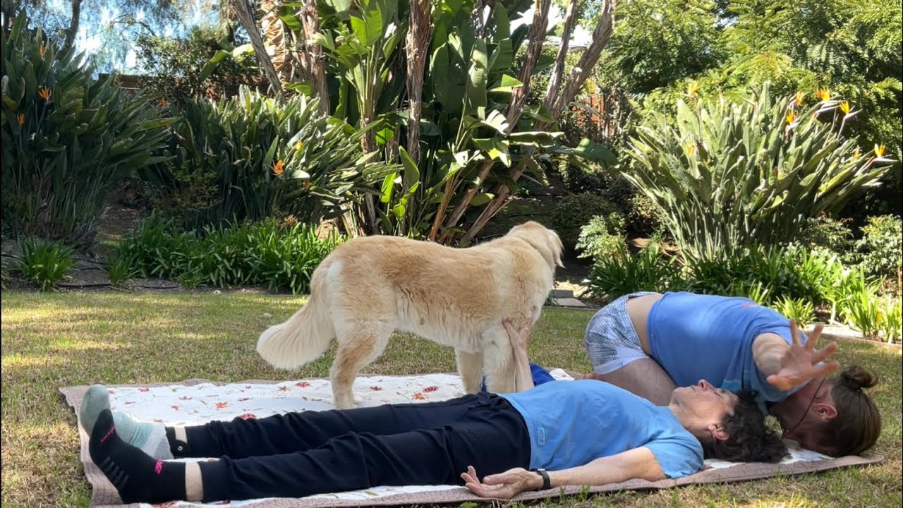 What skills can you learn that robots & AI will never out-perform? Qi ...