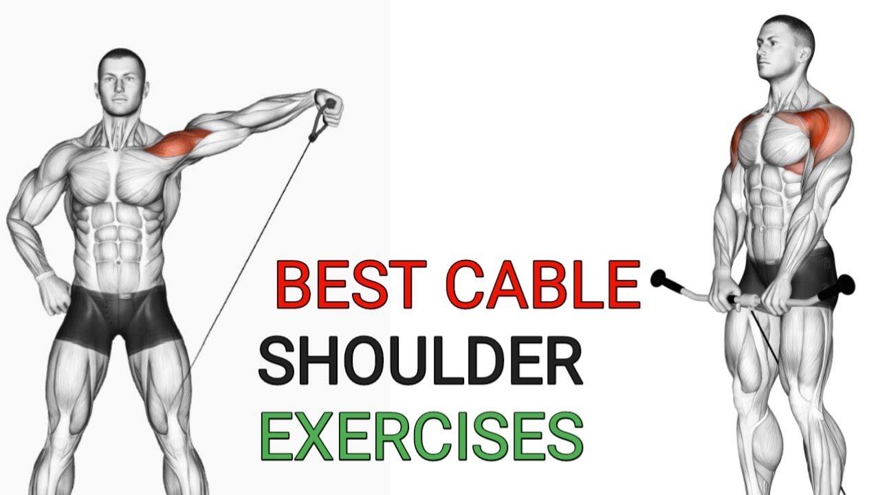 Best Shoulder Workout with Cable |Workout_Animation - YouTube