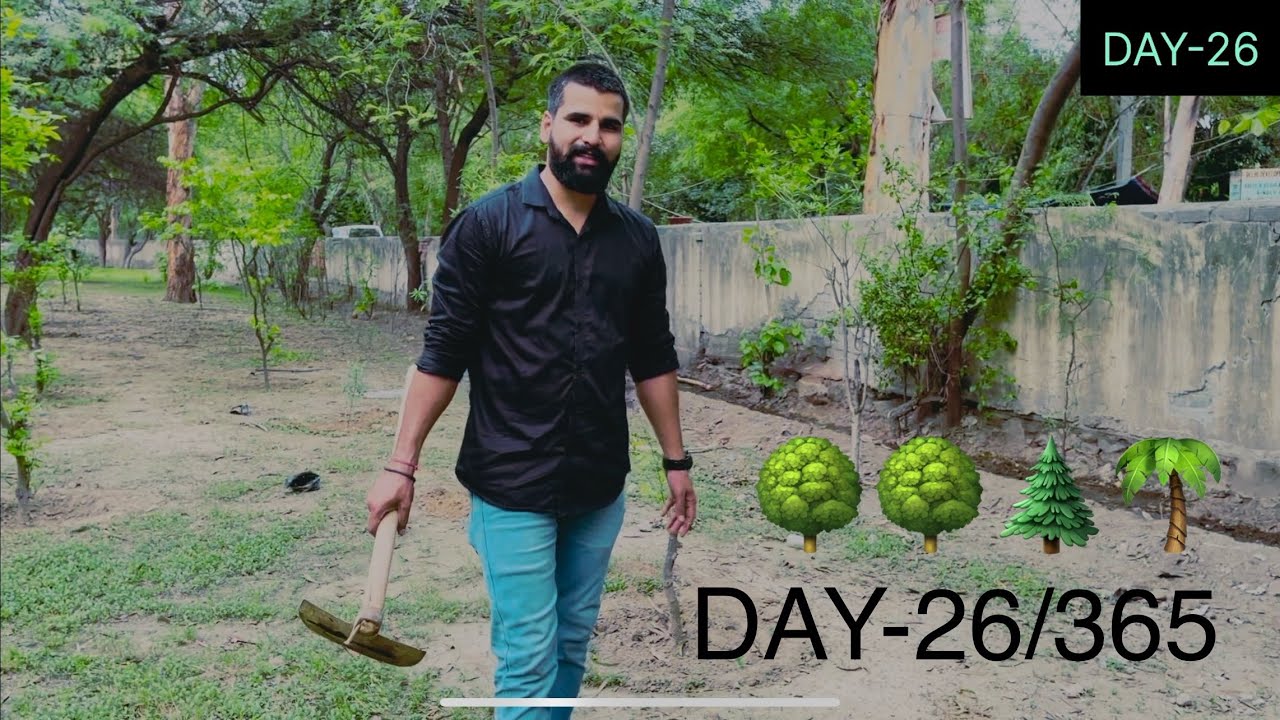 Tree plantation 365days challenge {DAY-26} #treeplantation #tree #viral #trending #youtube # ...