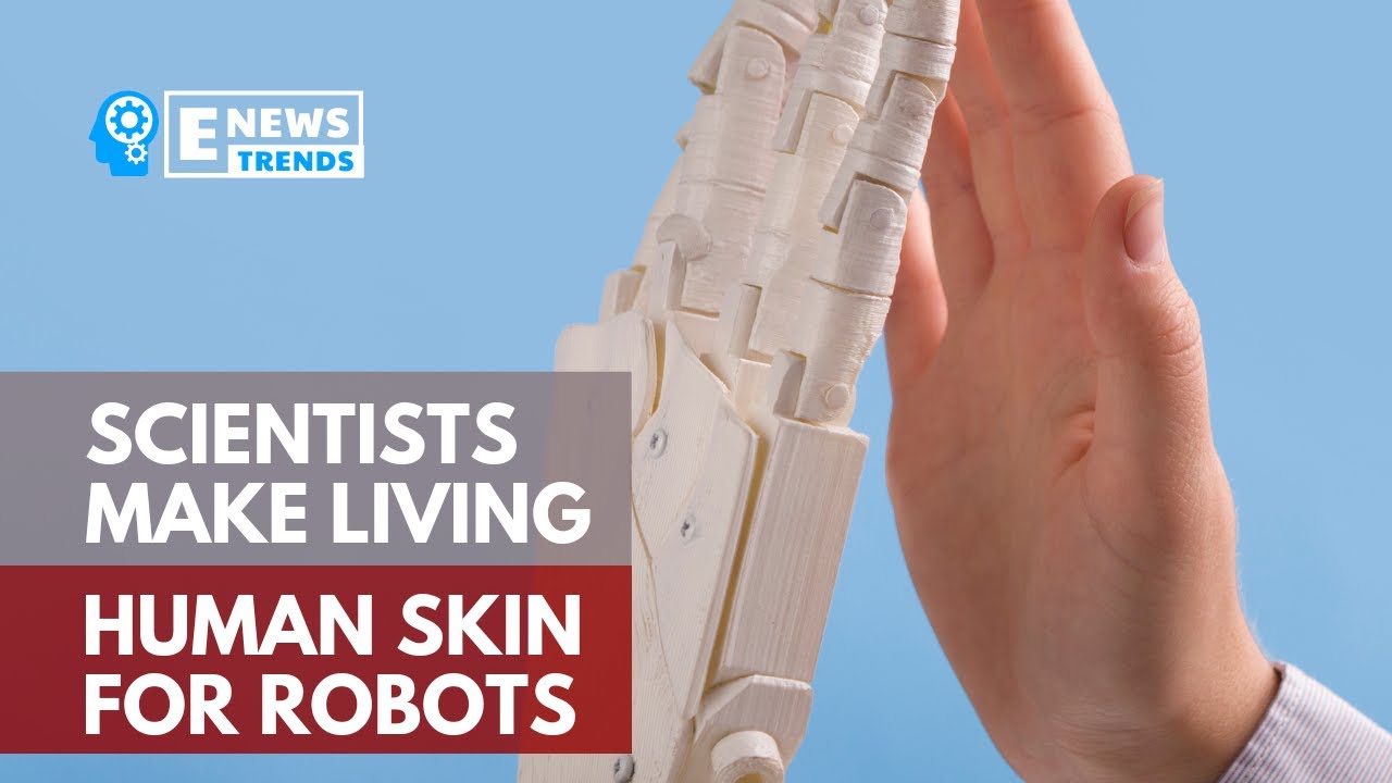 Scientists Make Living Human Skin for Robots - YouTube