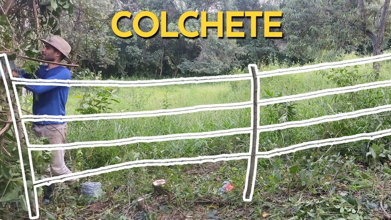 Colchete Aberto E Fechado - FDPLEARN